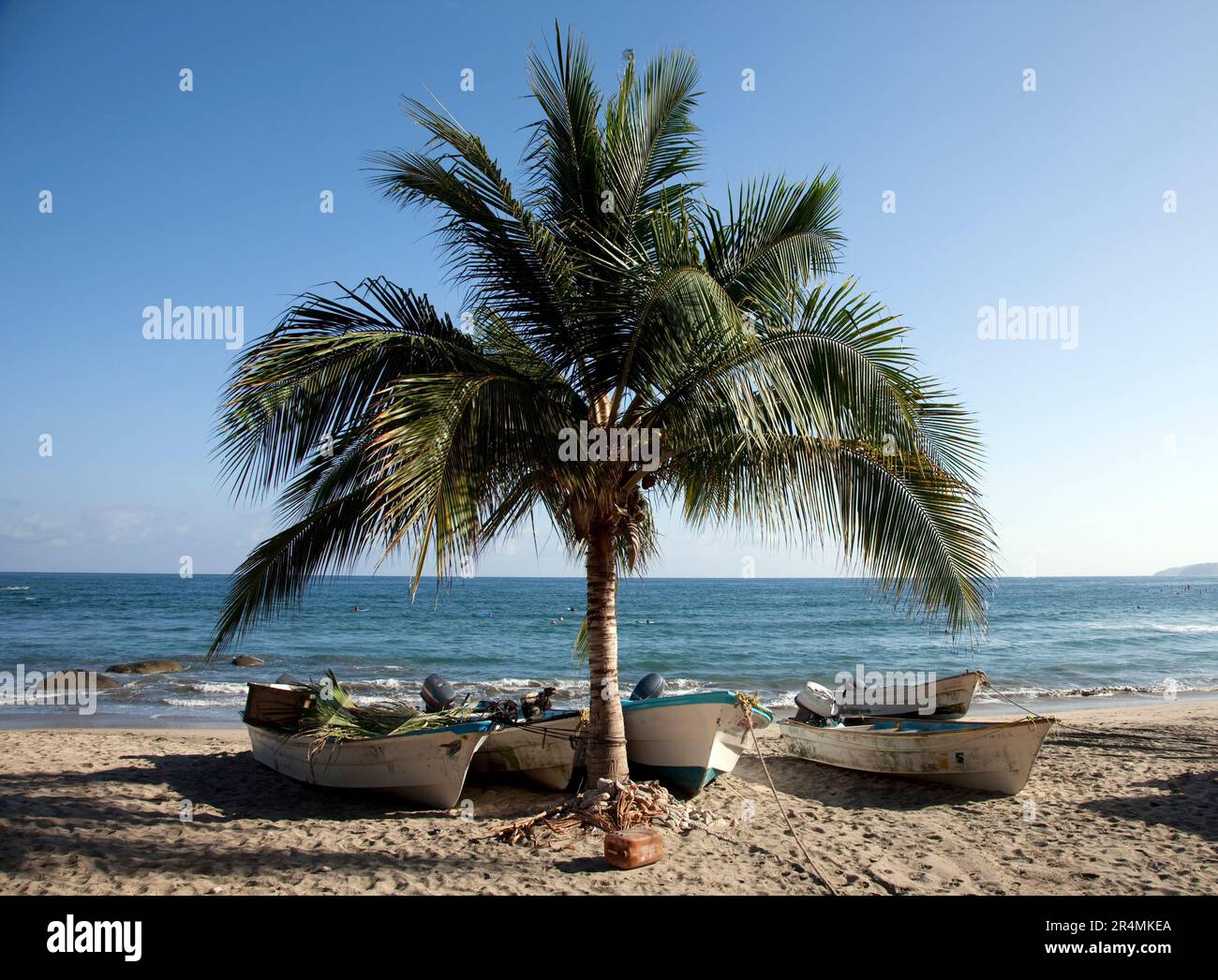 Fishing boat under tree on hi-res stock photography and images - Alamy