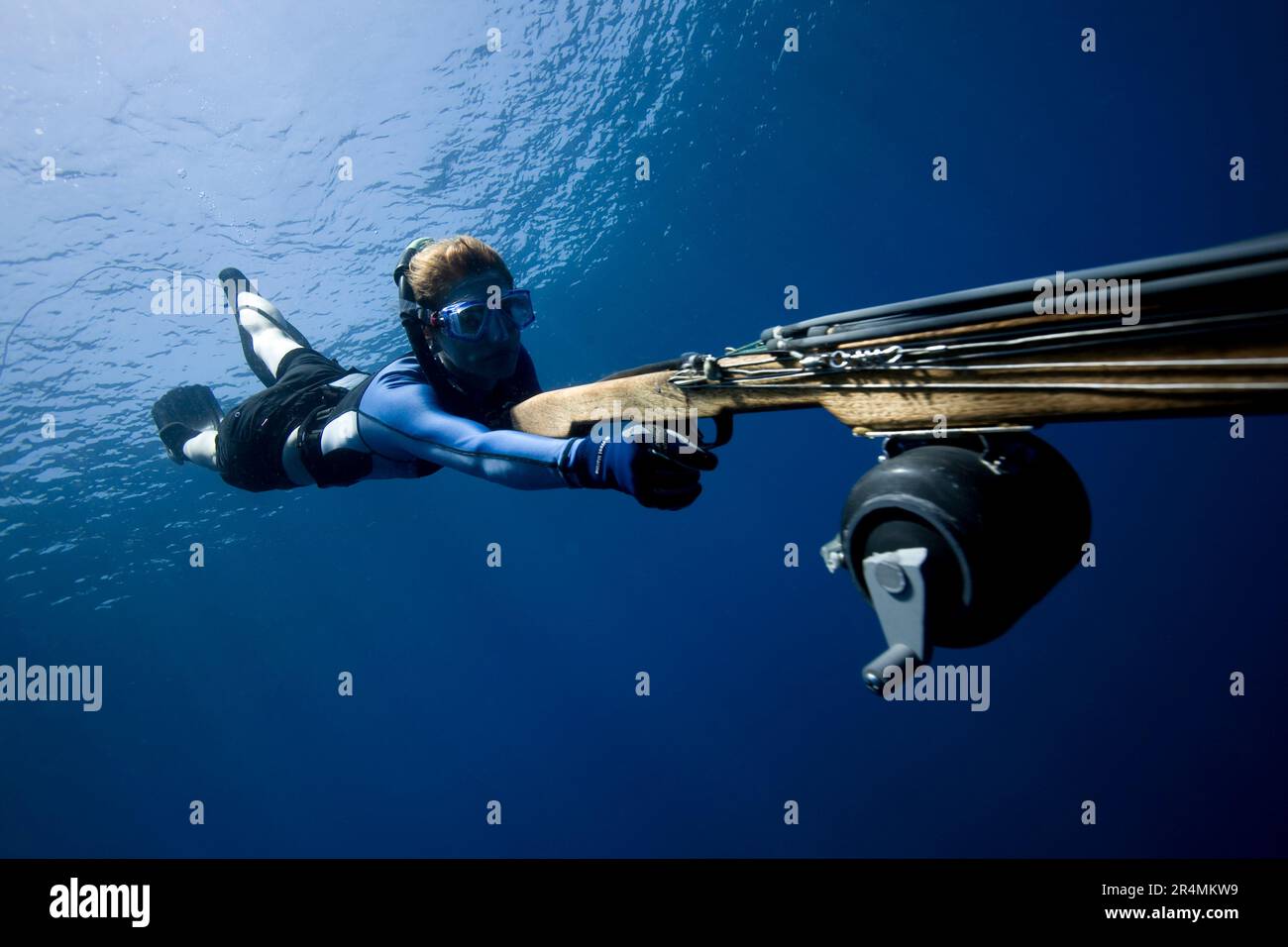 Underwater view of a female diving with a speargun toward the camera in ...