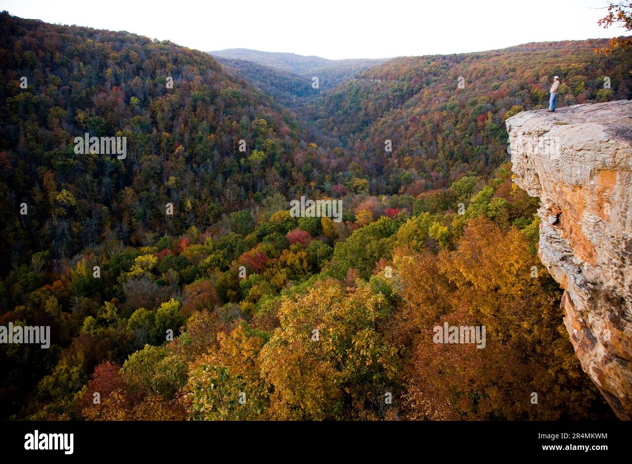 Lady standing on an overlook, Devil's Den State Park, Arkansas Stock ...