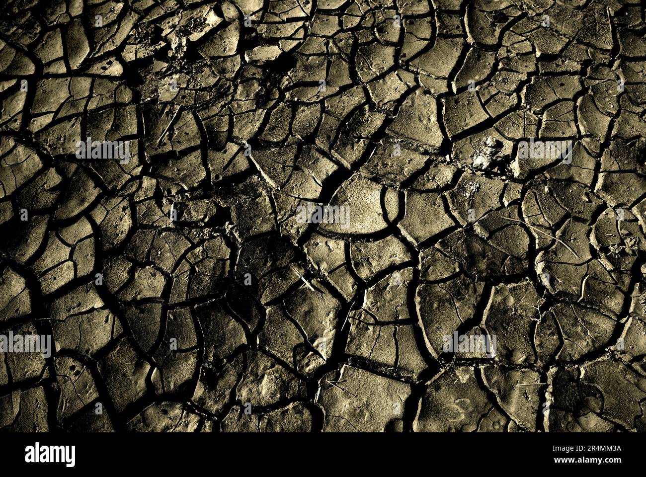 The dry soil of Palmyra desert, Syria Stock Photo - Alamy