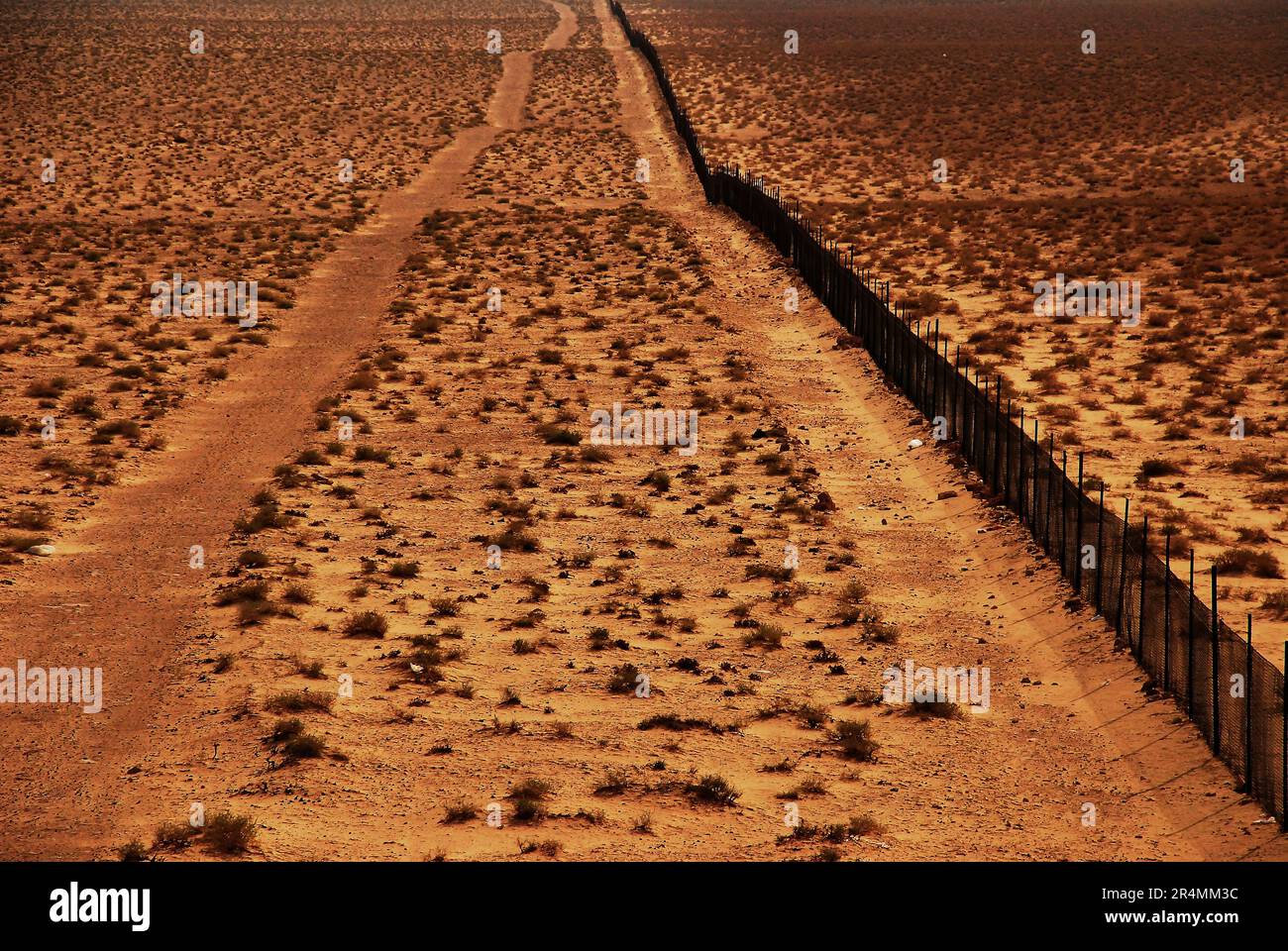 View of a natural road in the palmyrian desert, Syria Stock Photo - Alamy