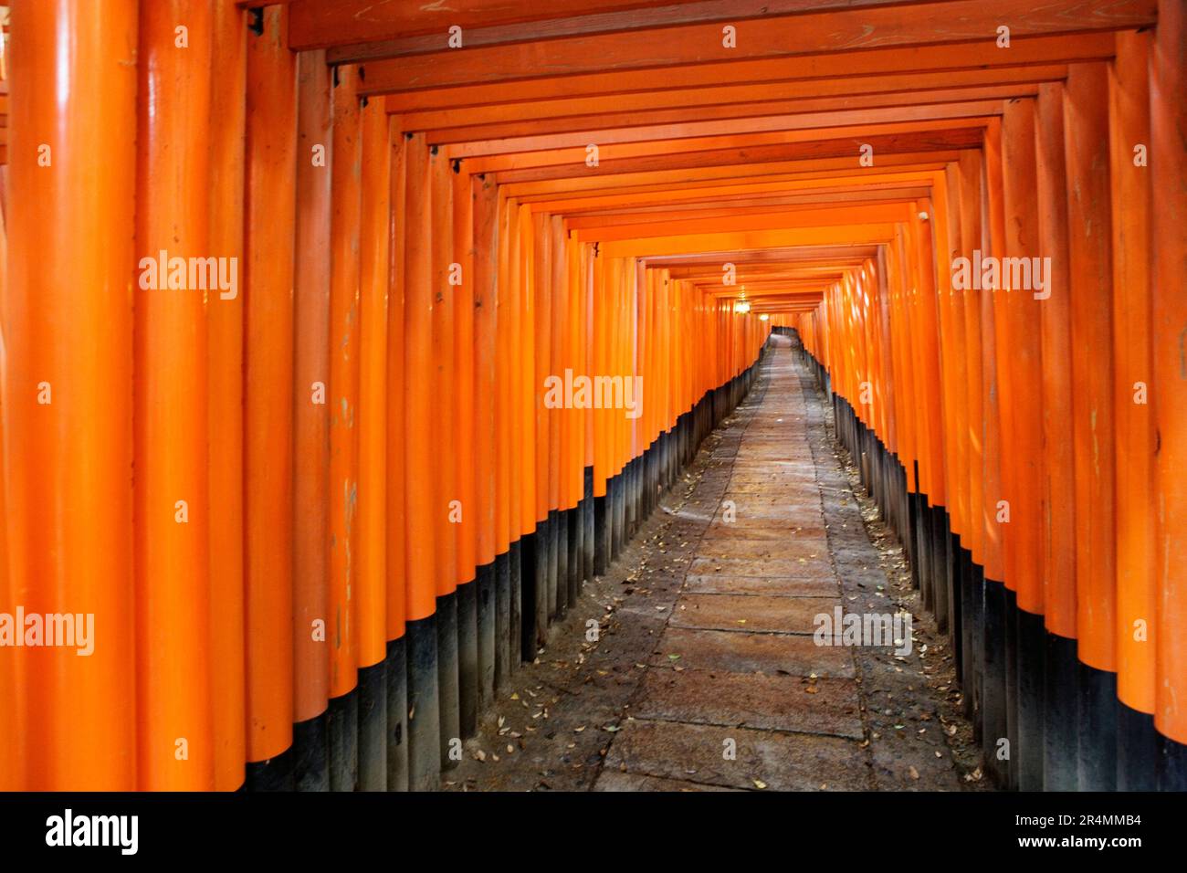 Rows of torii gates at the Fushimi Inari Shrine, Kyoto, Japan Stock ...