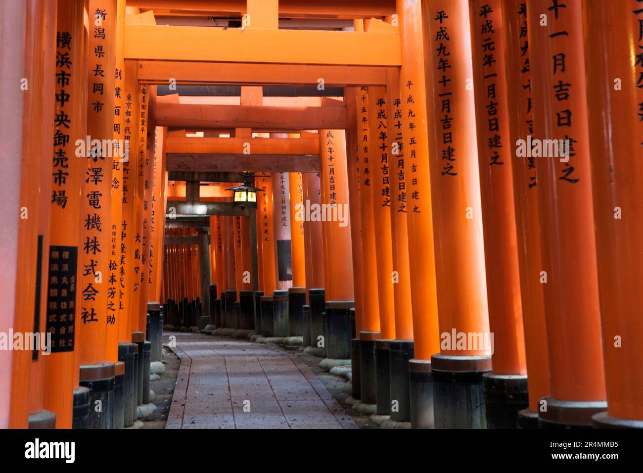 Rows of torii gates at the Fushimi Inari Shrine, Kyoto, Japan Stock ...
