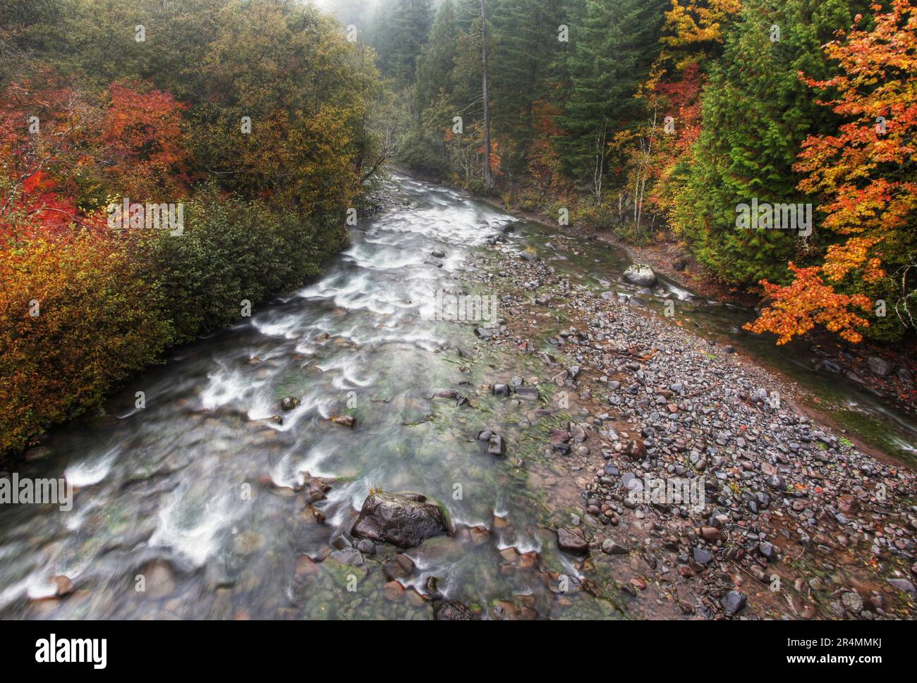 Old fall river road hi-res stock photography and images - Alamy
