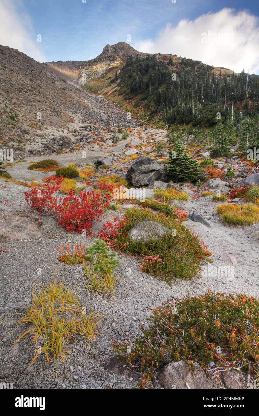 Rock monitors hi-res stock photography and images - Alamy