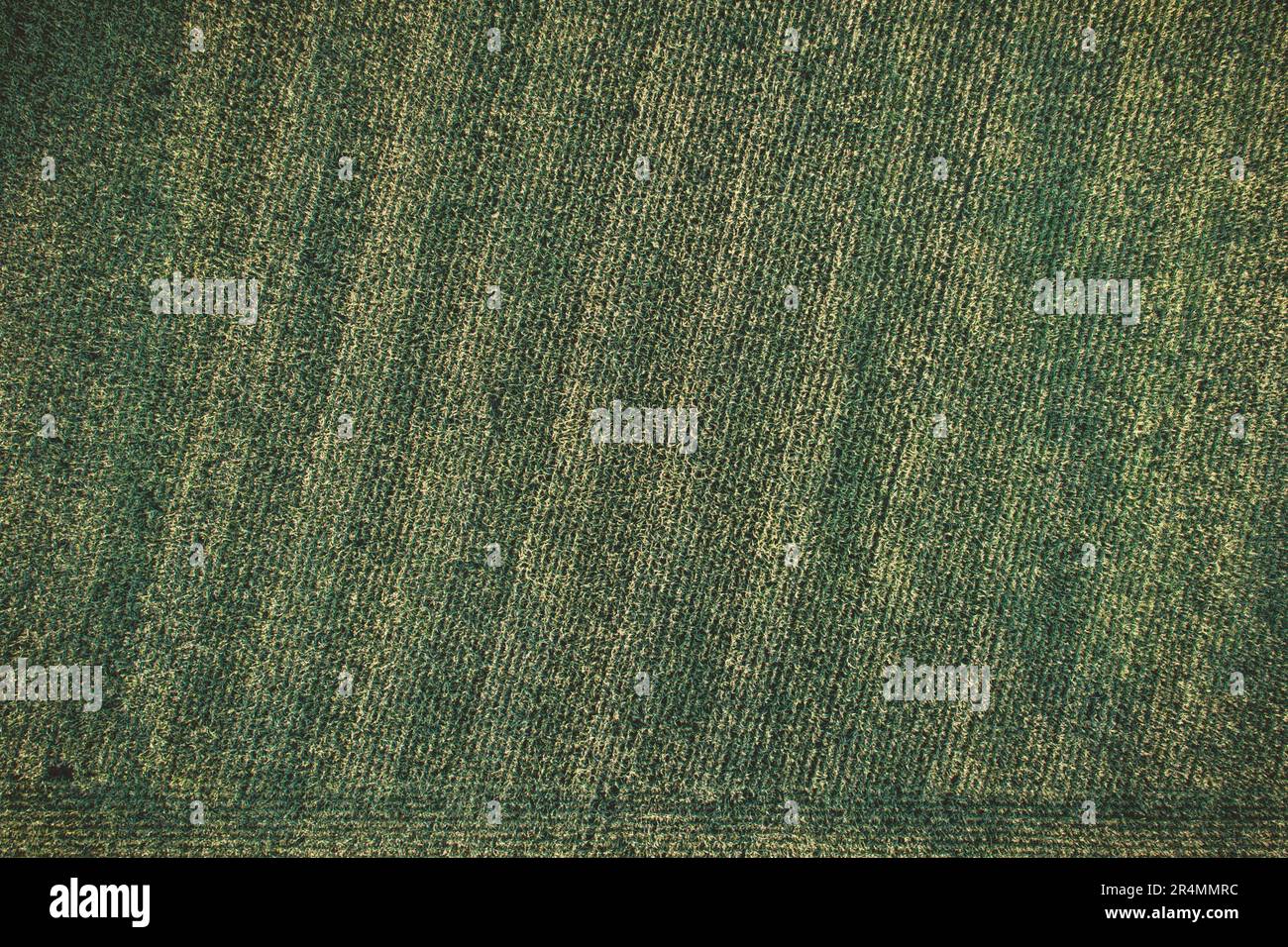 Aerial view green corn field hi-res stock photography and images - Alamy
