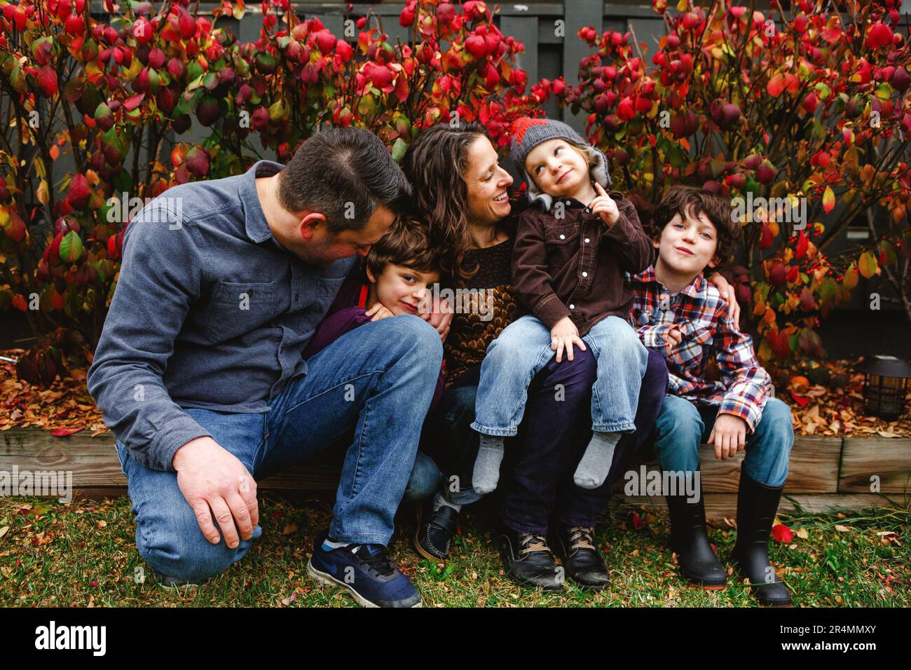 A laughing family play and cuddle together by brightly colored leaves ...