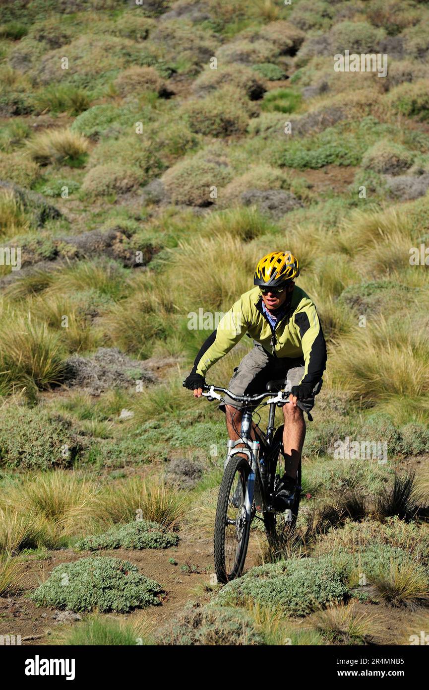 Young guy mountain biking on a path in Patagonia, Chile Stock Photo - Alamy