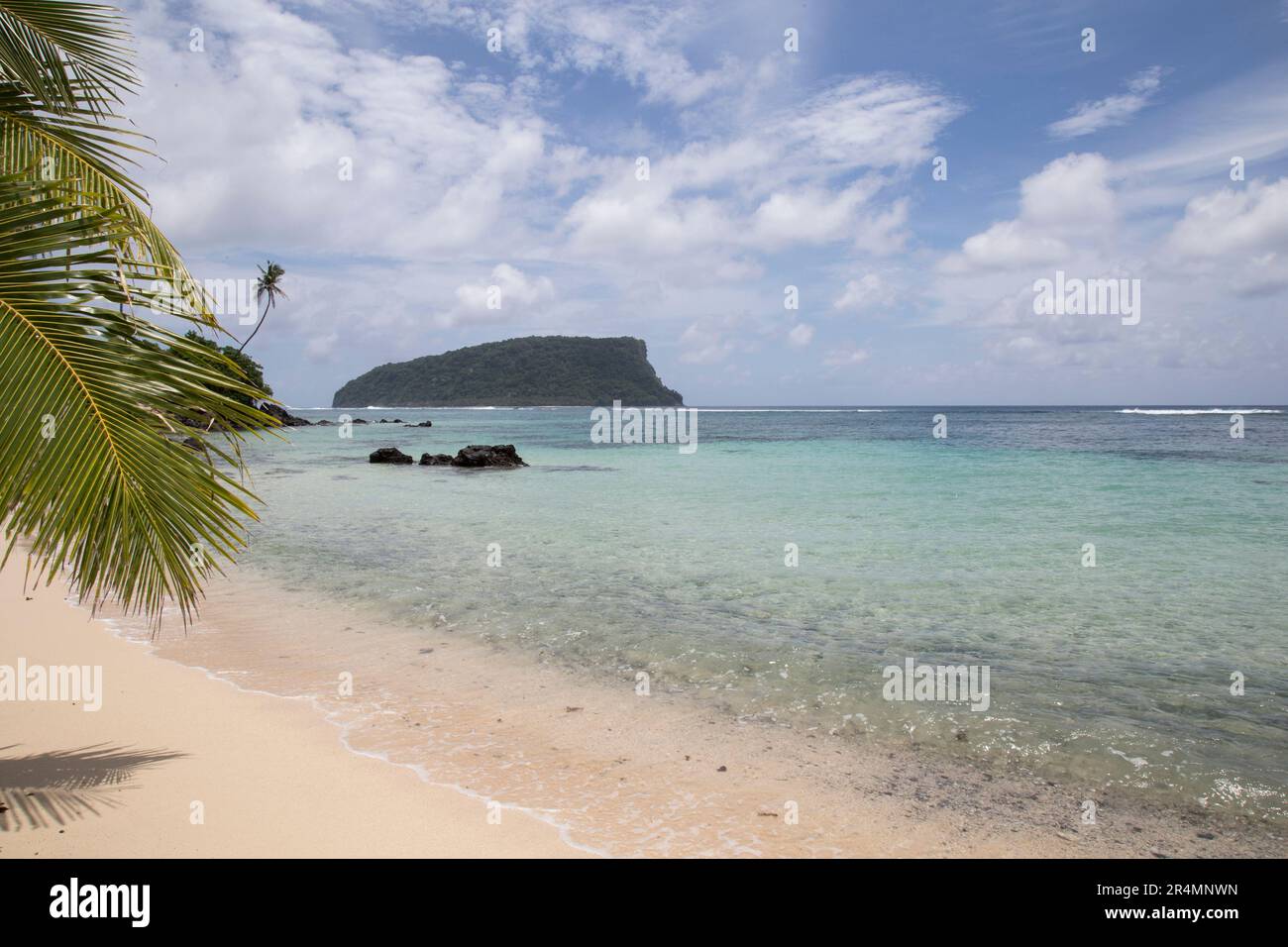 Palm tree on exotic white sand beach of Samoa Stock Photo - Alamy