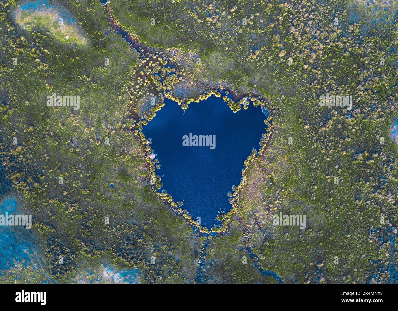 Beautiful heart shaped lake in Te Anau, Southland, New Zealand Stock ...