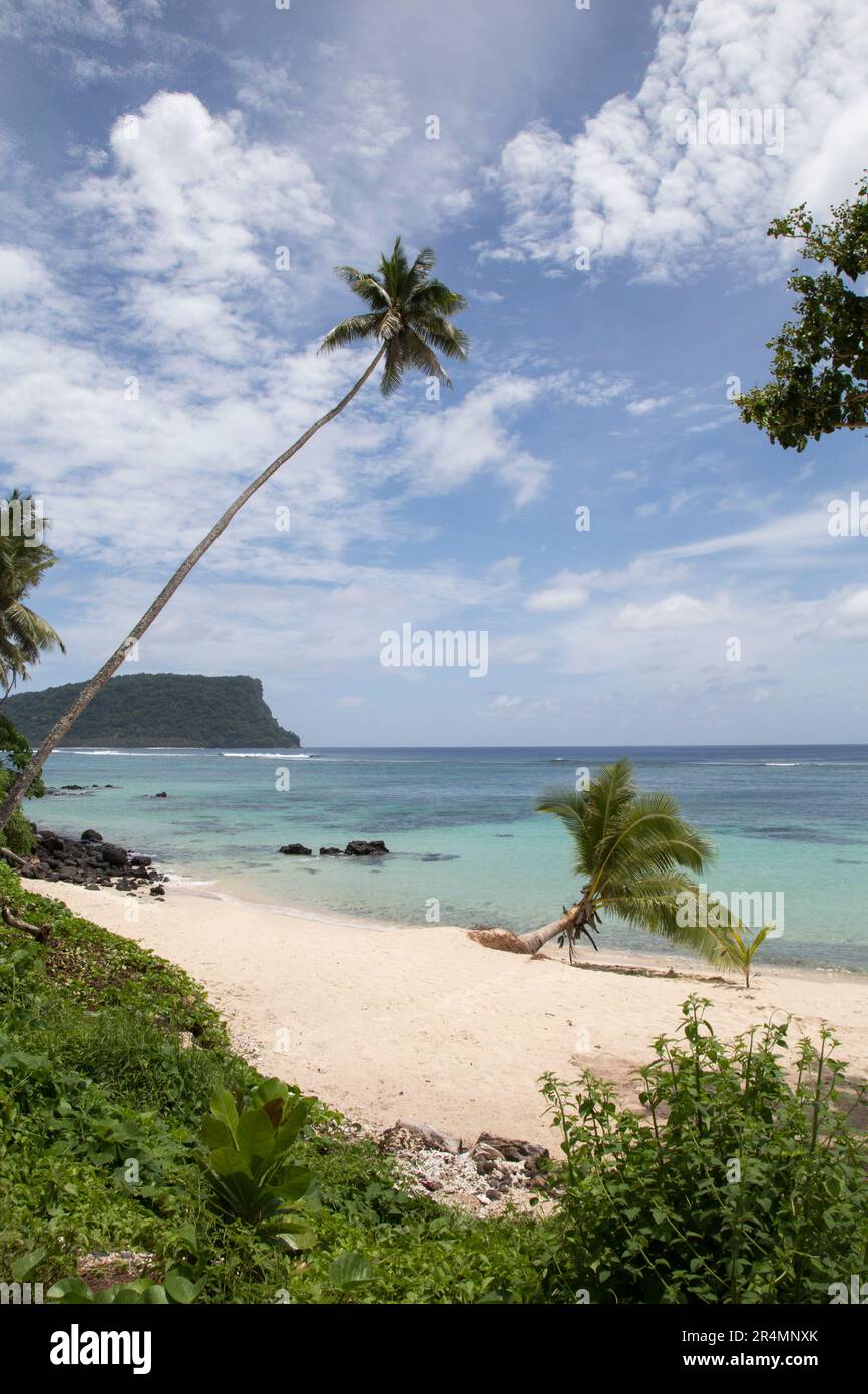 Exotic beach with palm trees in the South Pacific Stock Photo - Alamy