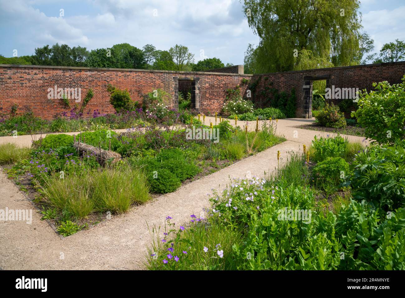 Perennials plants at one end of the Kitchen Garden at RHS Bridgewater ...