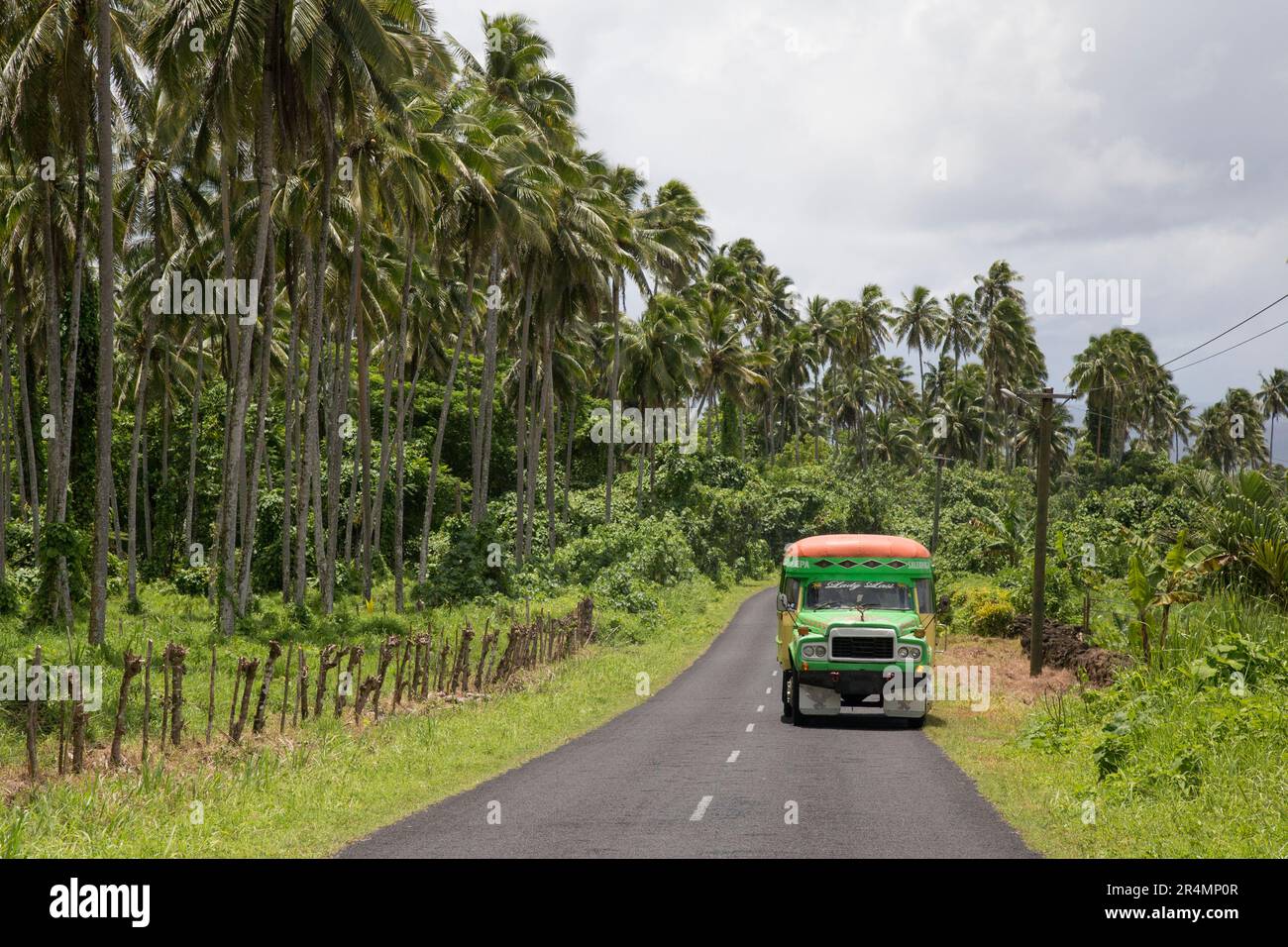 Colorful Samoan public bus on rural road, next to a coconut plantation ...
