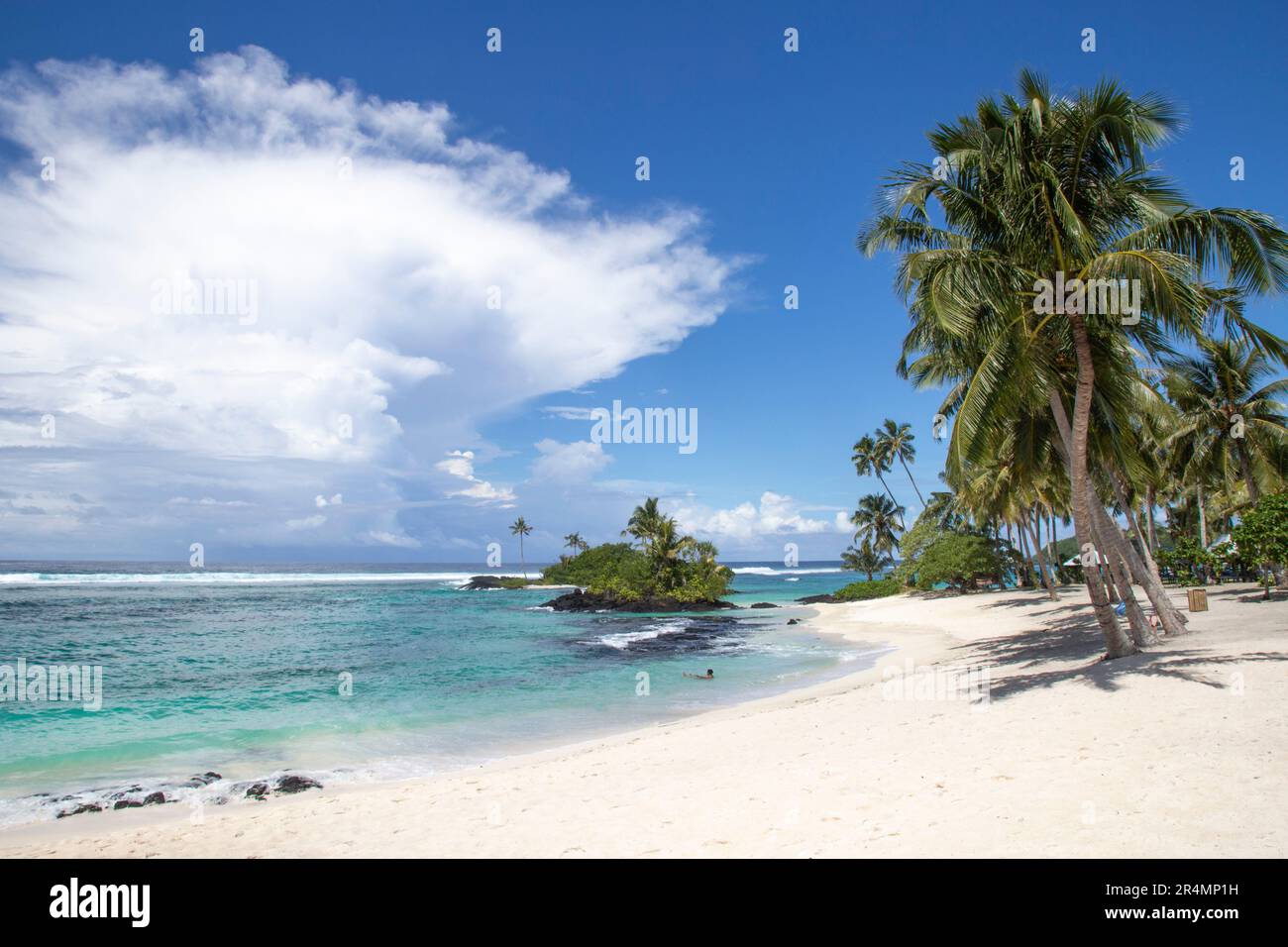 White sand beach, with palm trees and clear blue waters, Samoa Stock ...