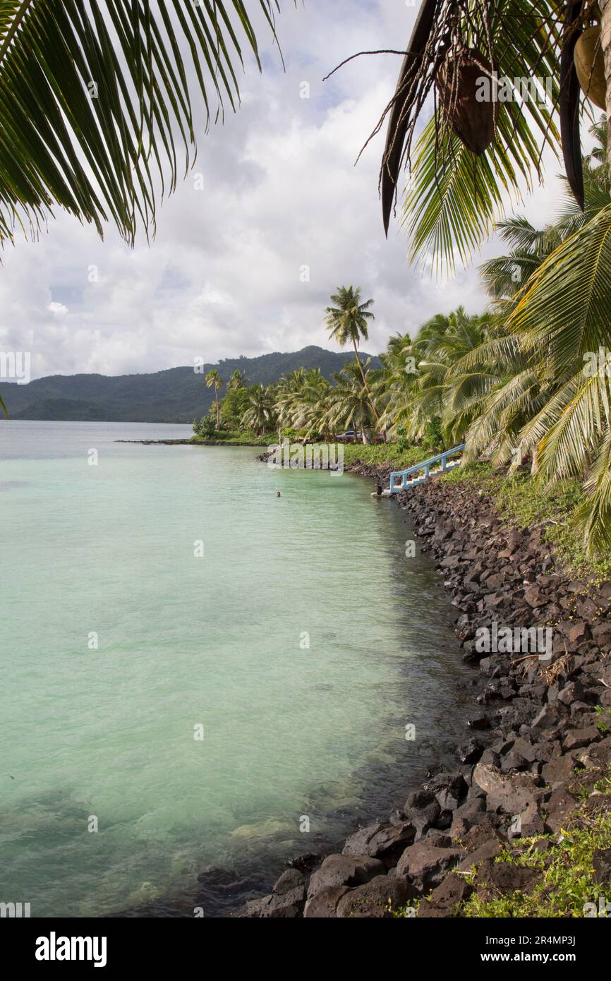 Small artificial blue water bay with palm trees, Samoa Stock Photo - Alamy