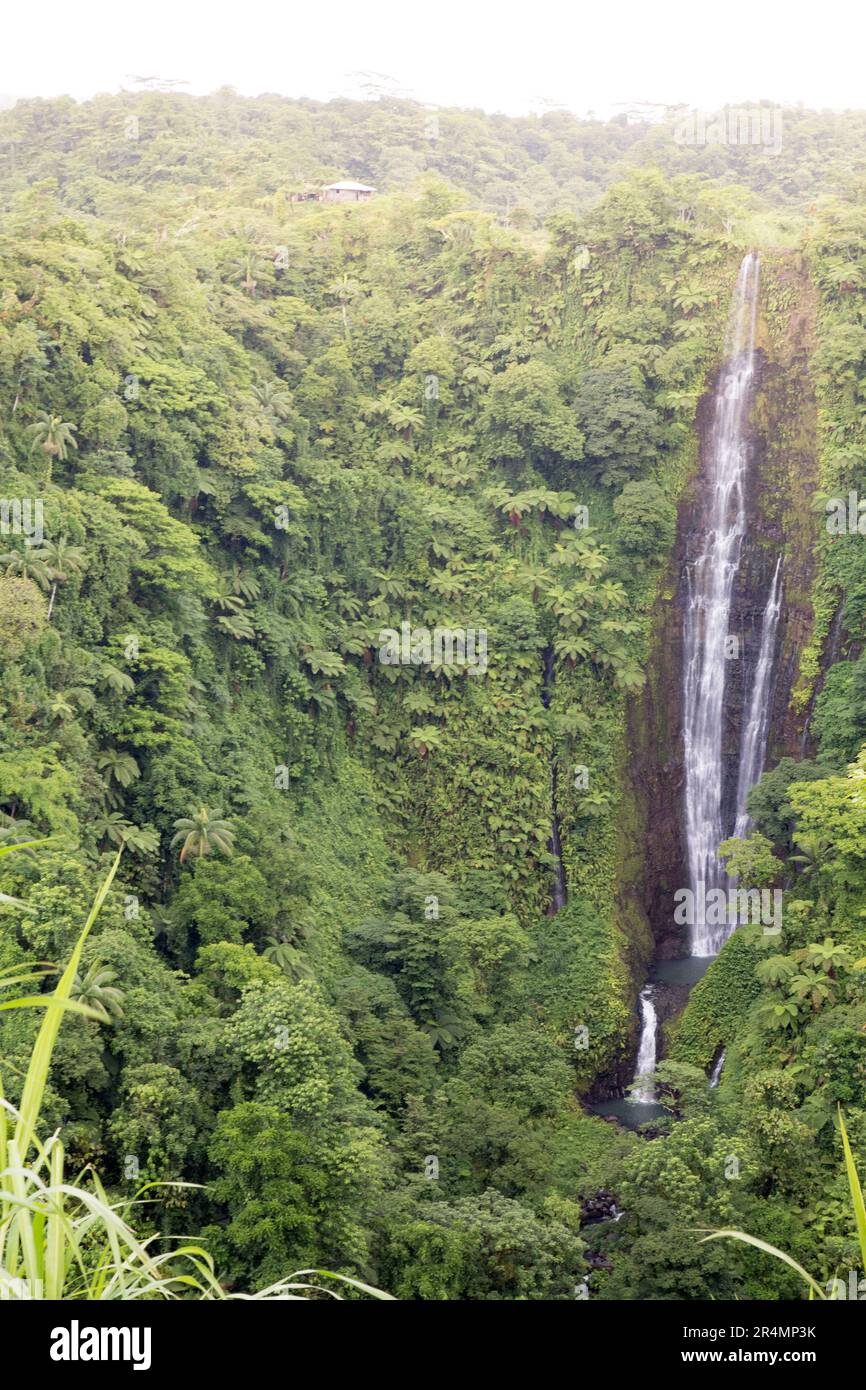 Exotic landscape with high waterfall during golden hour, Samoa Stock ...