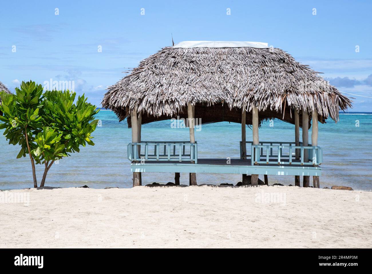 Beach hut and small tree on sandy beach of Samoa Stock Photo - Alamy