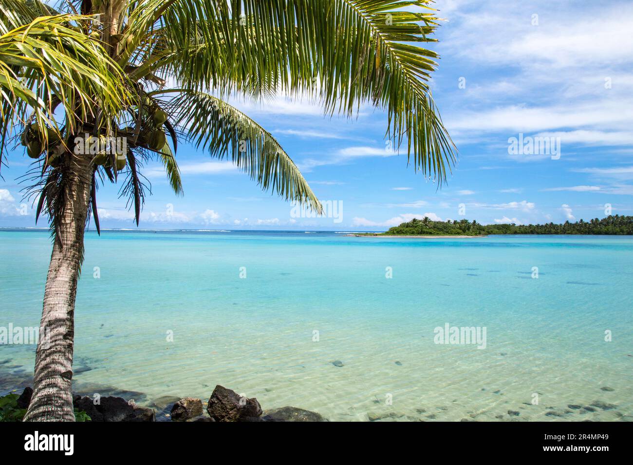 Single palm tree and blue clear waters of Samoa Stock Photo - Alamy