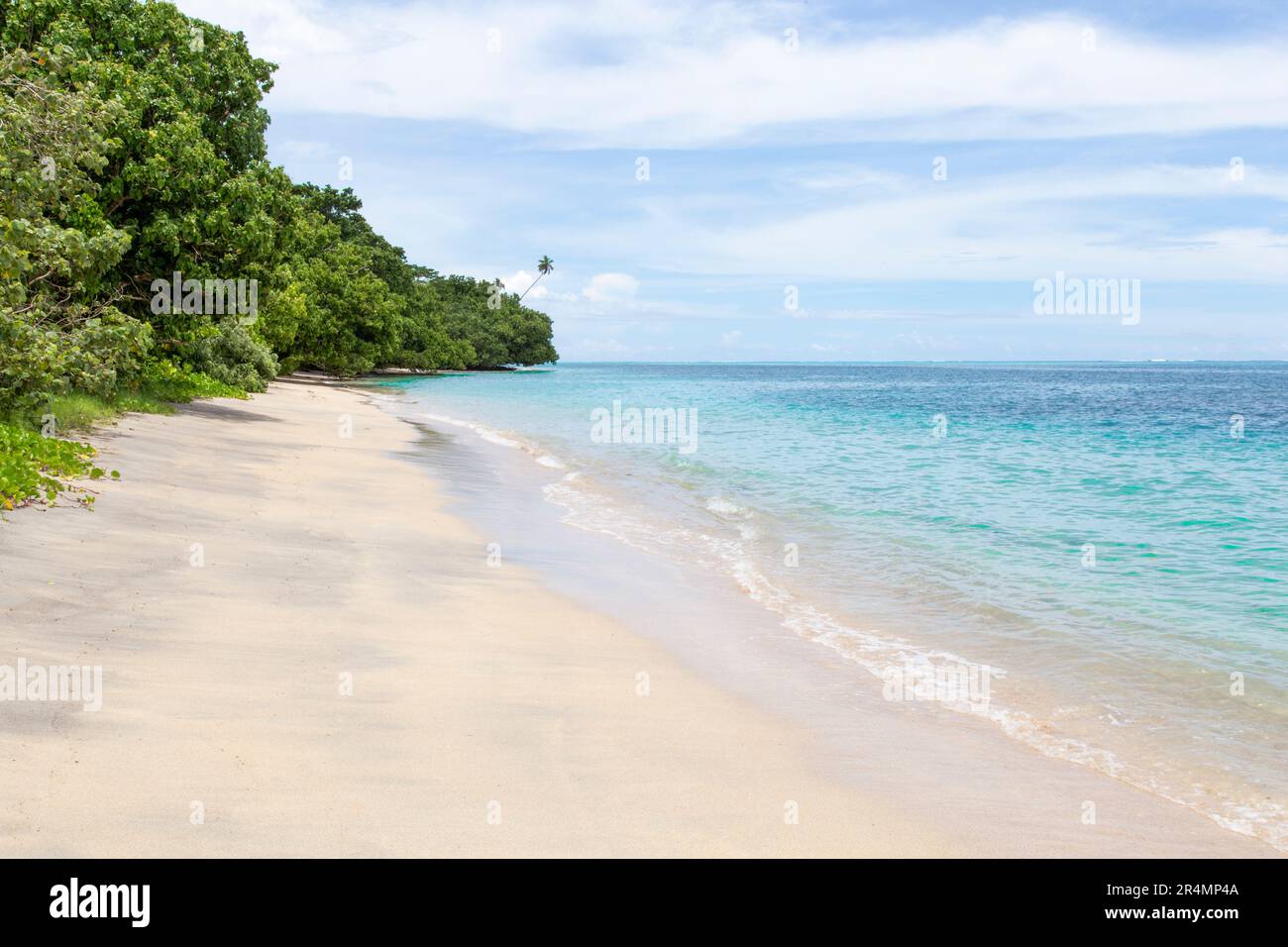 White sandy beach, with green trees and clear blue waters, Samoa Stock ...