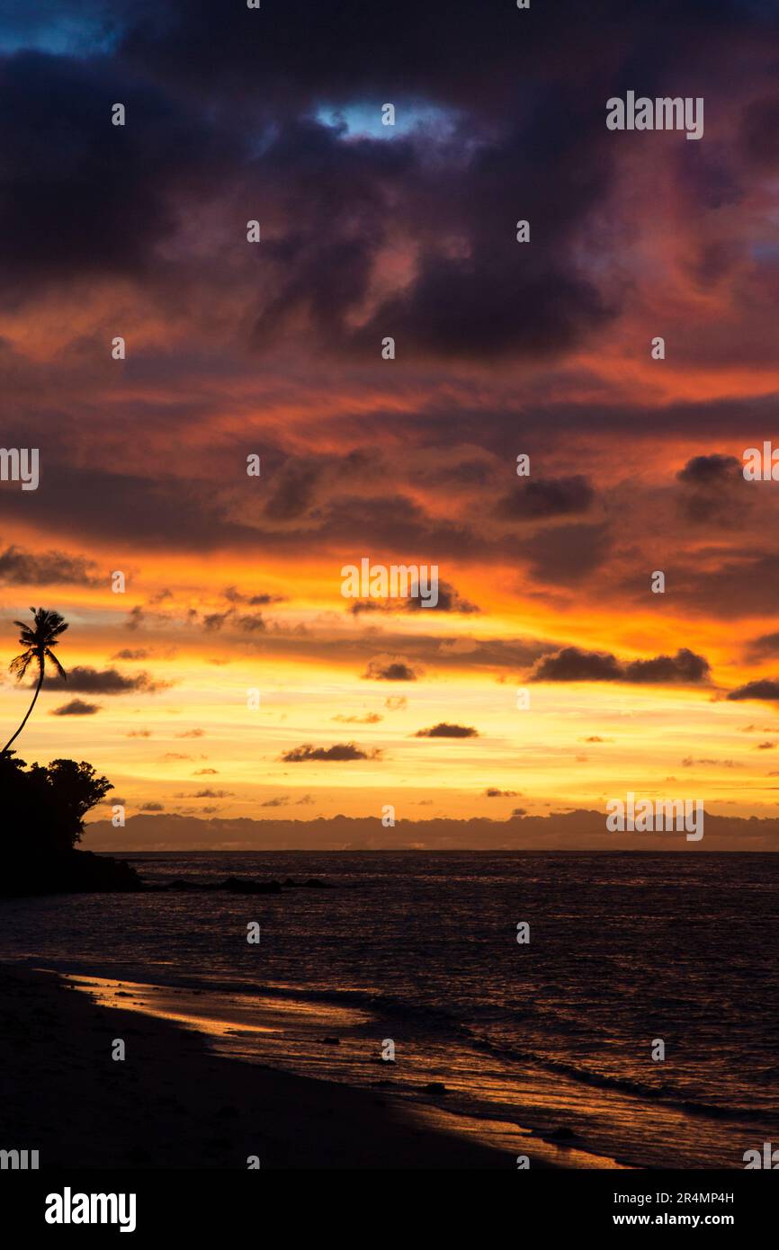 Colorful sunrise at beach, with silhouette of palm tree, Samoa Stock ...
