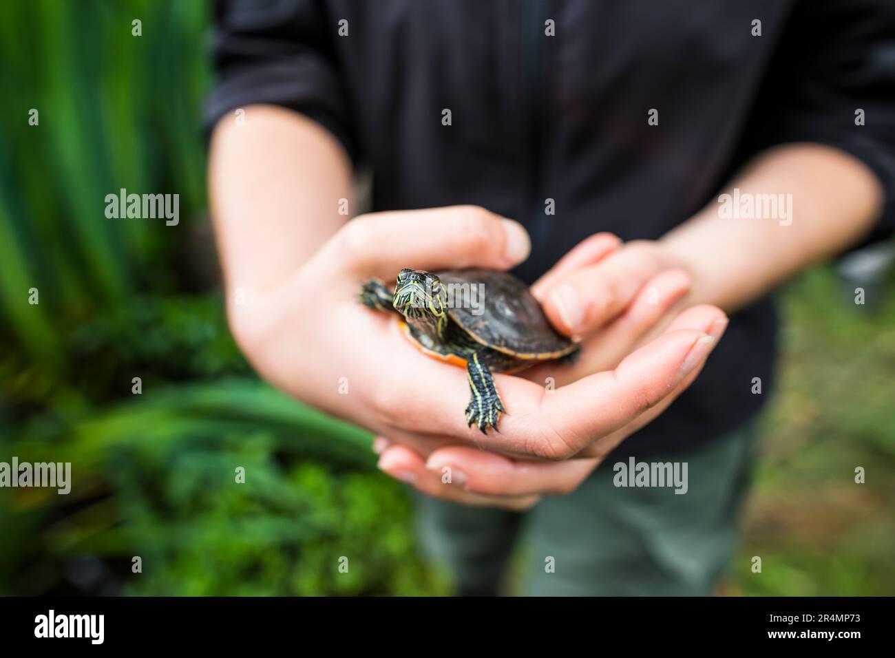 Habitat climate research hi-res stock photography and images - Alamy
