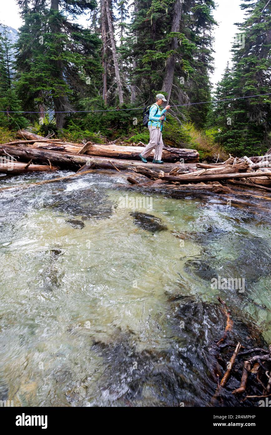 Mid length view of women hiking across a river in British Columbia ...