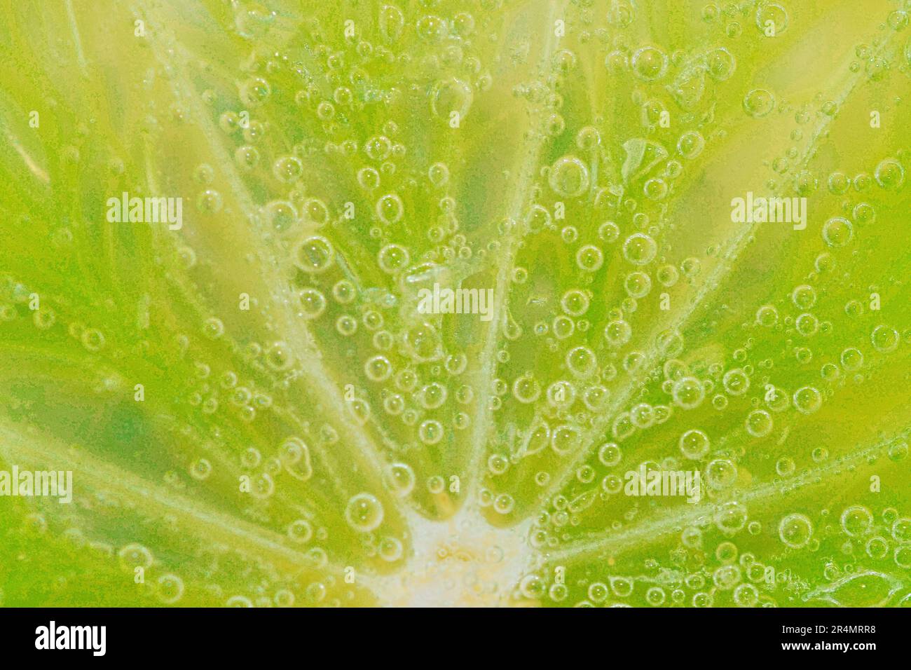 Slice of ripe lime in water. Close-up of lime in liquid with bubbles. Slice of ripe lime in ...