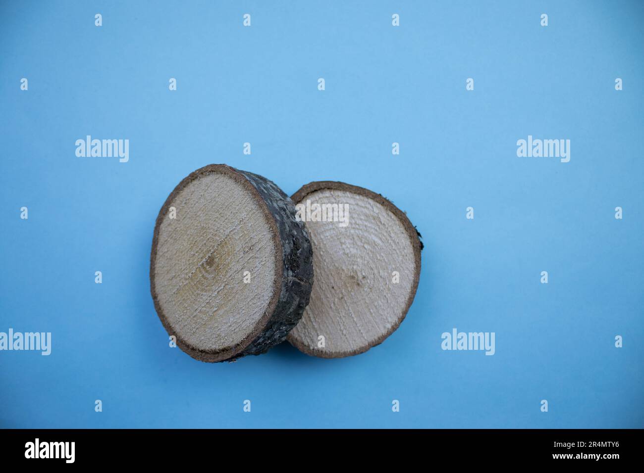 Small, round logs, photographed from above, placed on a blue background ...