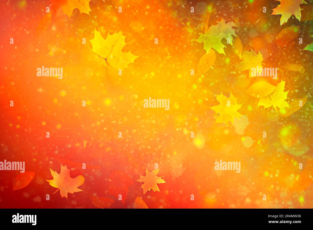Abstract shapes of leaves blend hi-res stock photography and images - Alamy