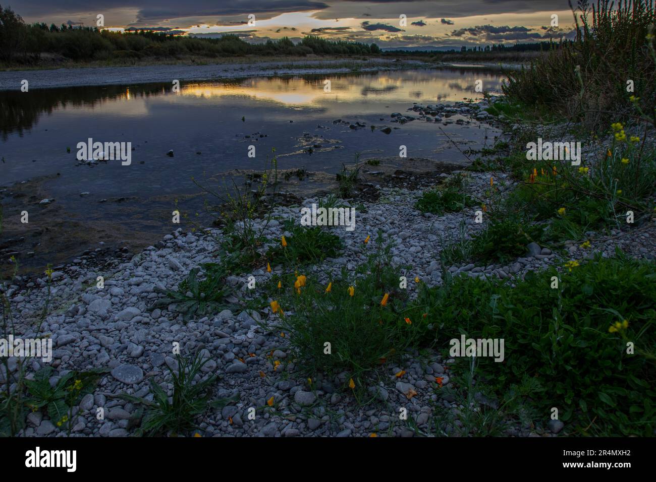 Selwyn canterbury new zealand hi-res stock photography and images - Alamy