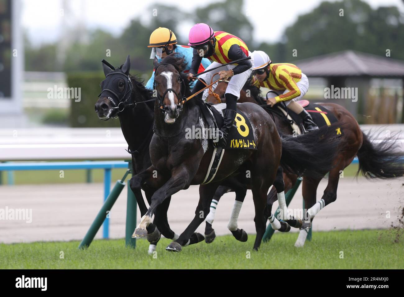 Kyoto, Japan. 28th May, 2023. Kyoto Racecourse in Kyoto, Japan, May 28 ...