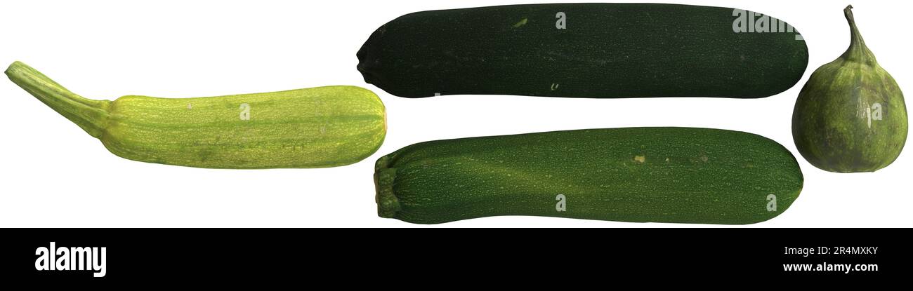 3d illustration of courgettes isolated on black background Stock Photo ...