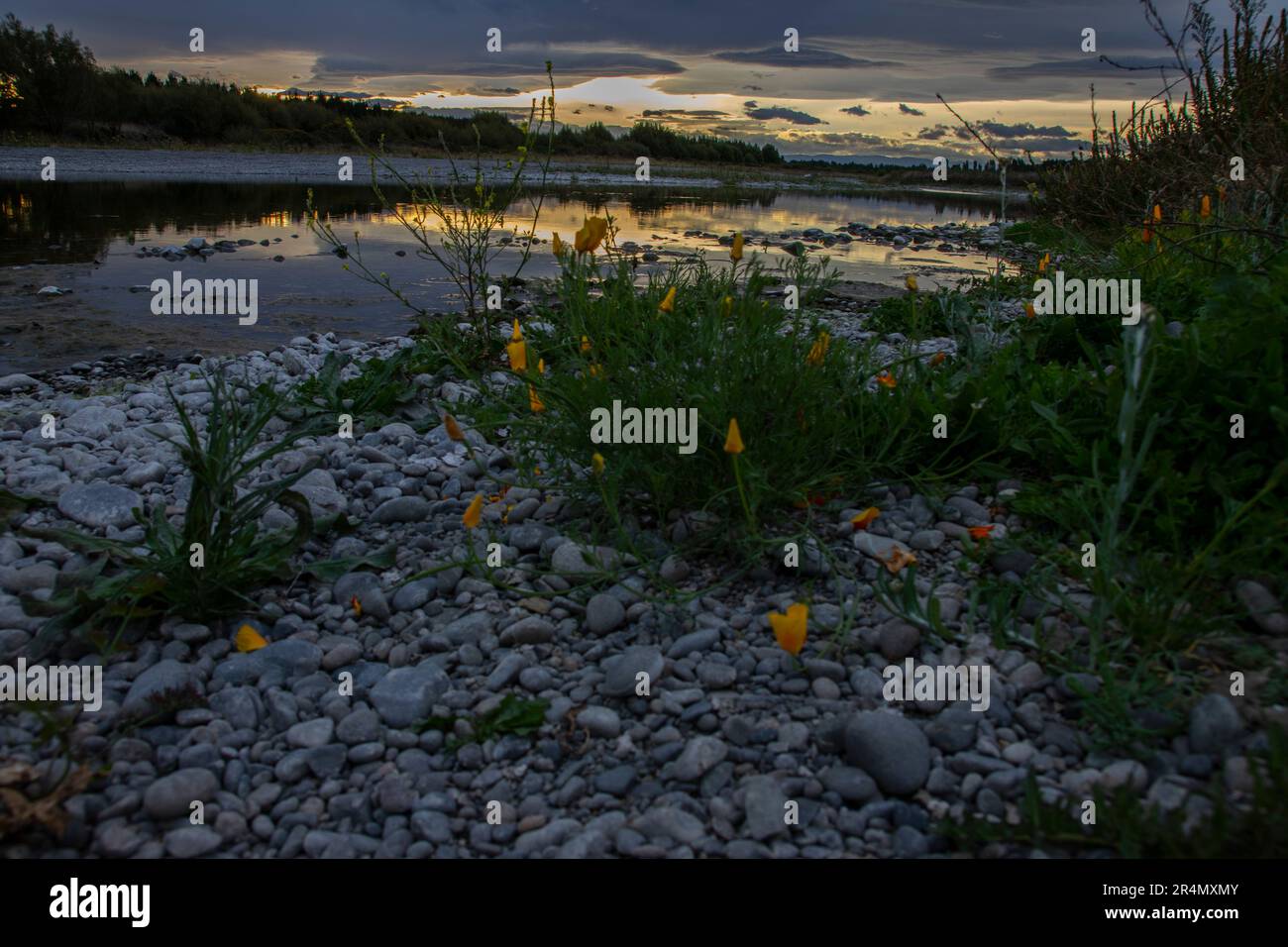 Selwyn canterbury new zealand hi-res stock photography and images - Alamy