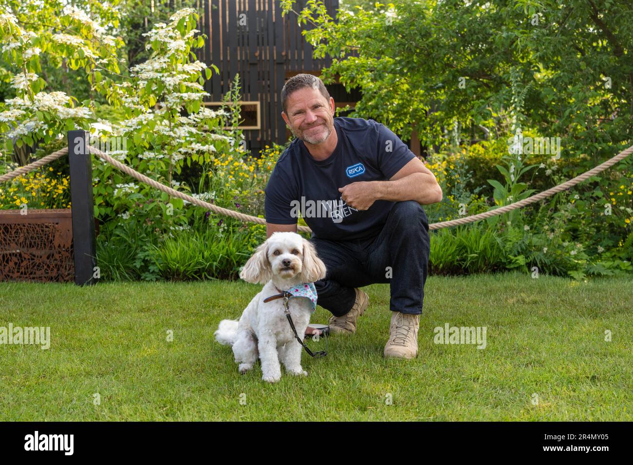 Puppy farm hi-res stock photography and images - Alamy