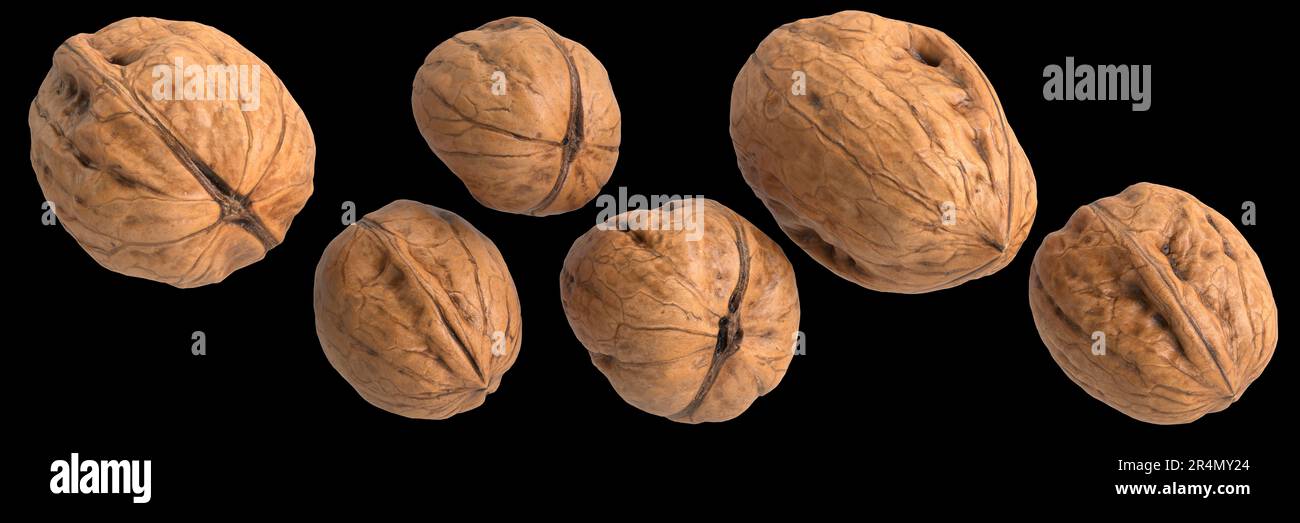 3d illustration of walnuts isolated on black background Stock Photo - Alamy
