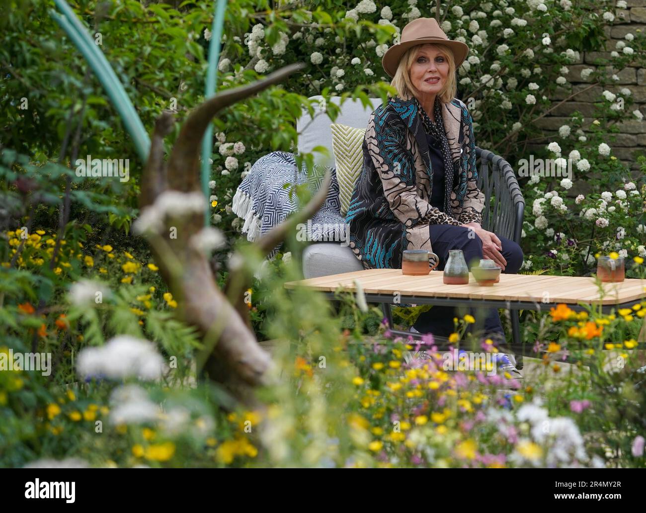 © Jeff Moore Actress and RSPCA supporter, Joanna Lumley explores BAFTA ...