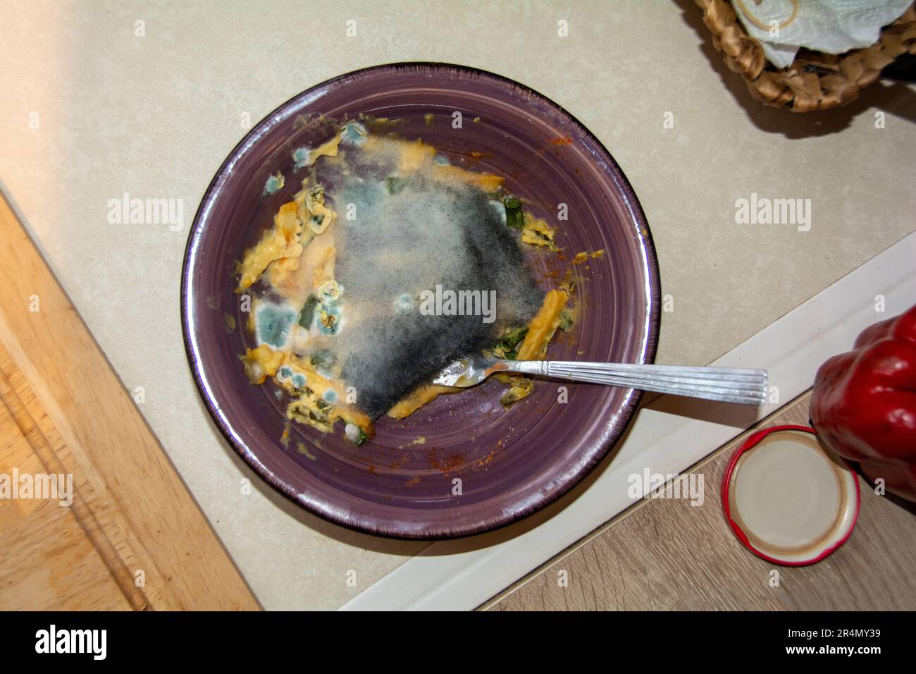 Spoiled food plate hi-res stock photography and images - Alamy