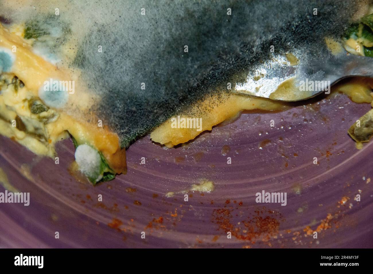 Disgusting food plate hi-res stock photography and images - Alamy