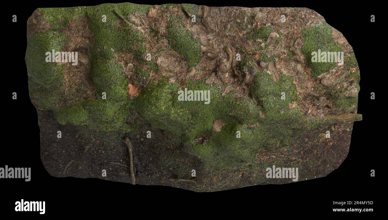 3d illustration of ground, moss covered dry isolated on black ...