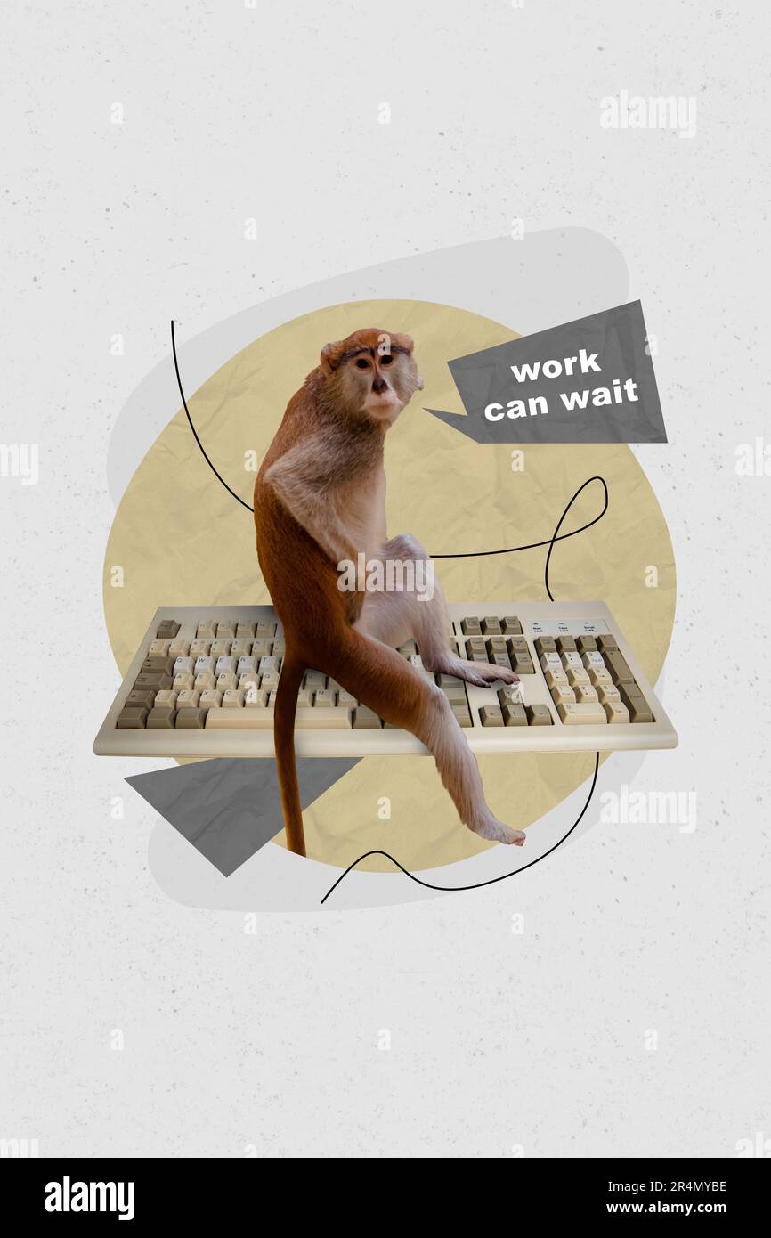 Artwork 3d collage sketch of exotic animal monkey sitting keyboard say ...