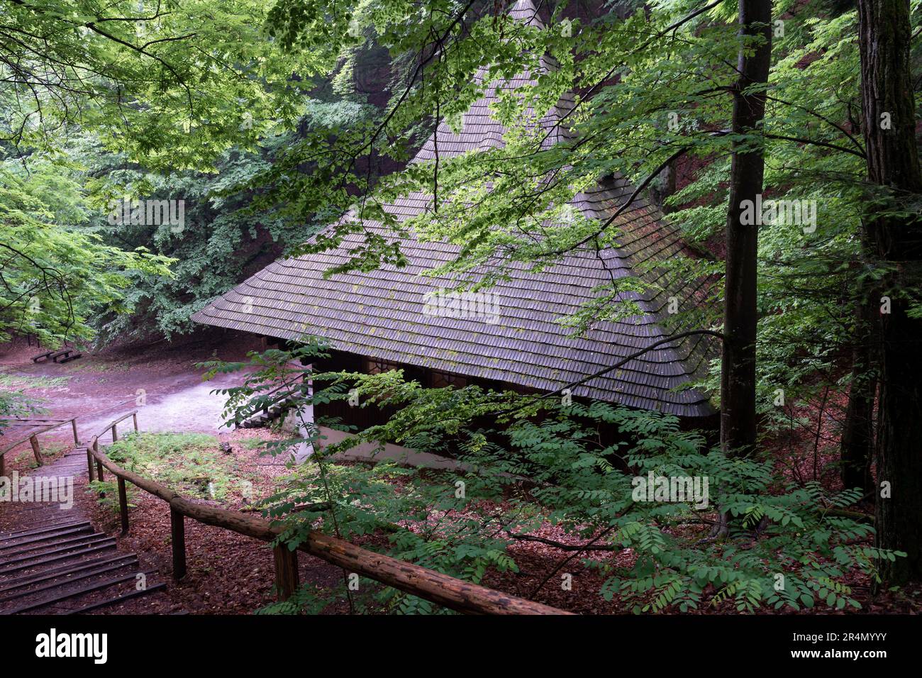 Beautiful wooden architecture of a small chapel located in a beech ...