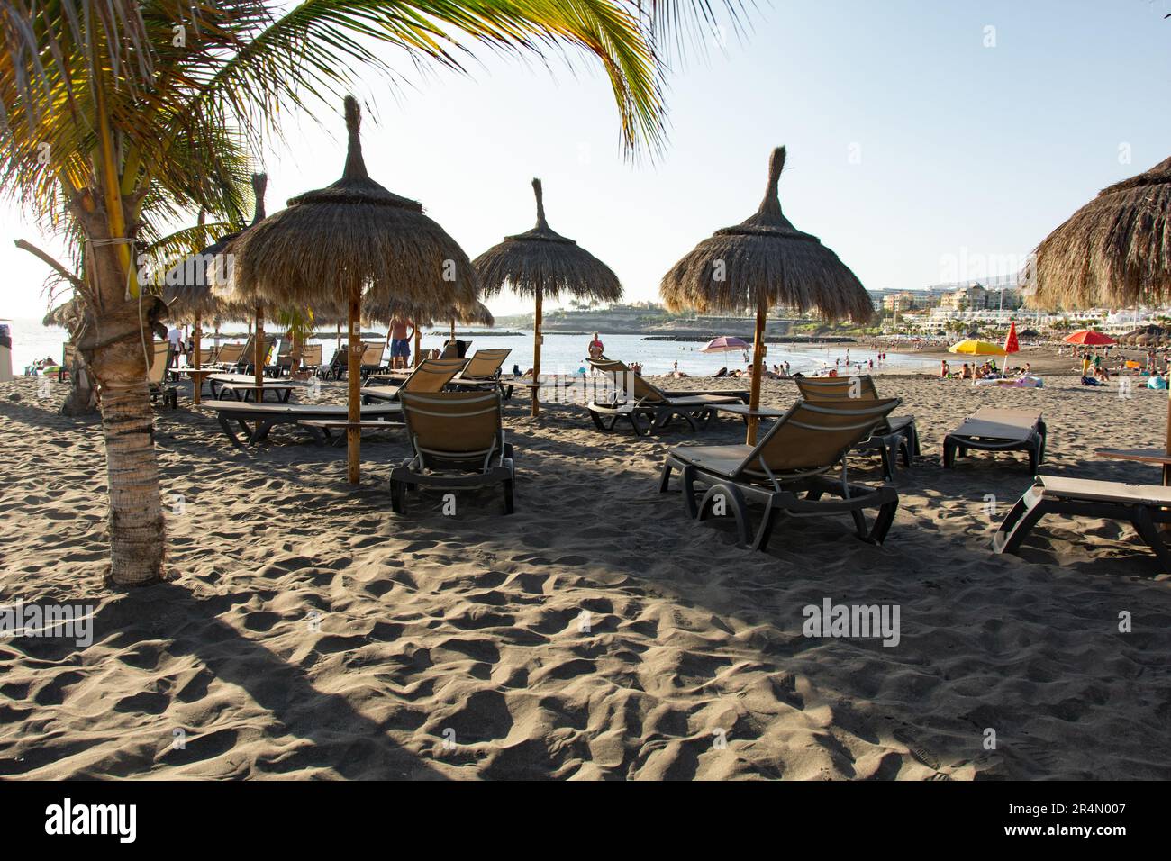 Torviscas Playa sandy beach, with palm trees, sea, deckchairs and ...