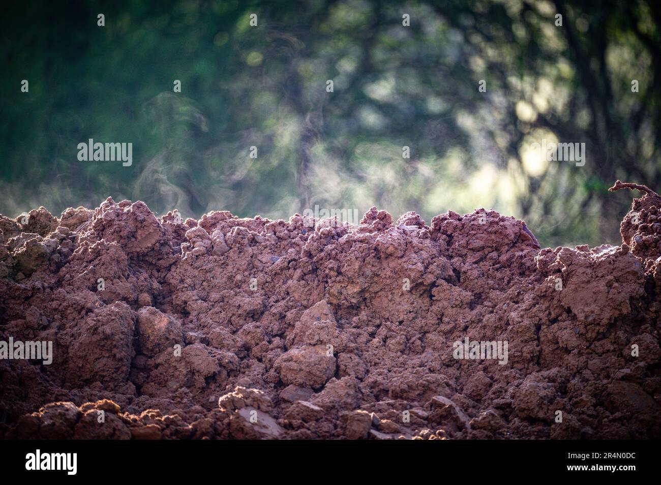 Fresh steaming earth soil in green nature Stock Photo - Alamy