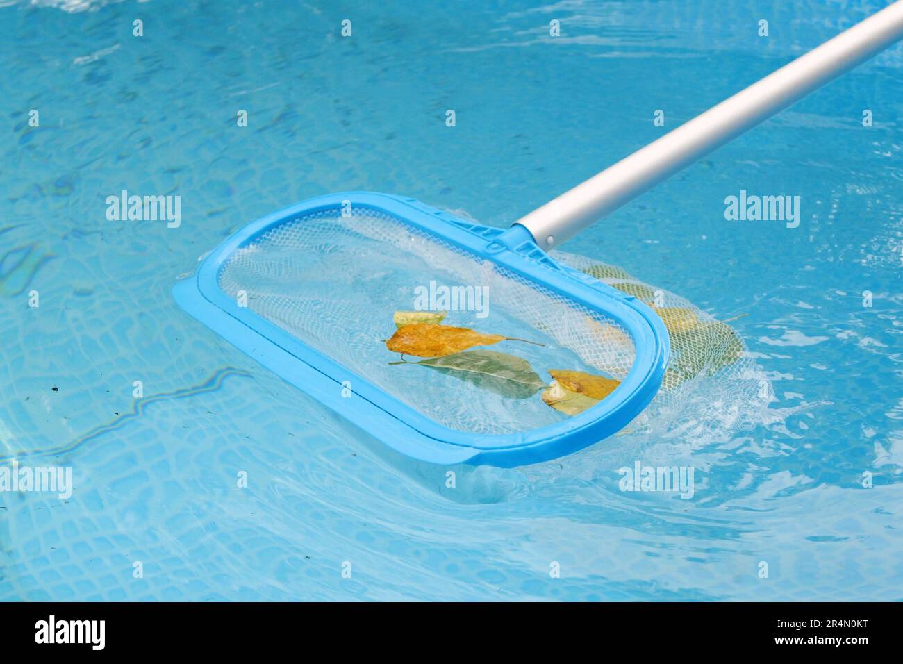 Cleaning a swimming pool with a mesh skimmer . The long net cleans ...