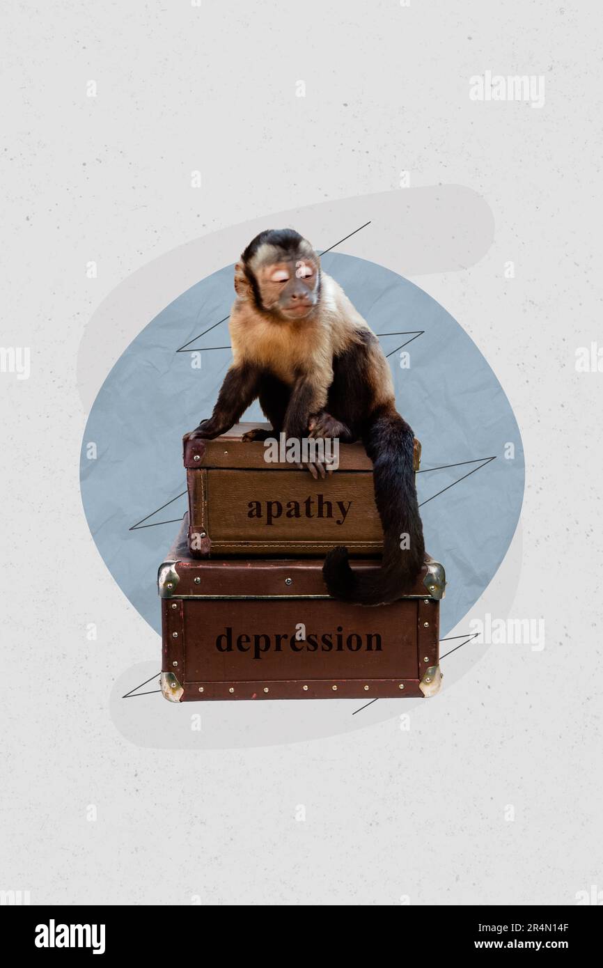 Poster collage sketch weird image of little stressed depressed monkey ...