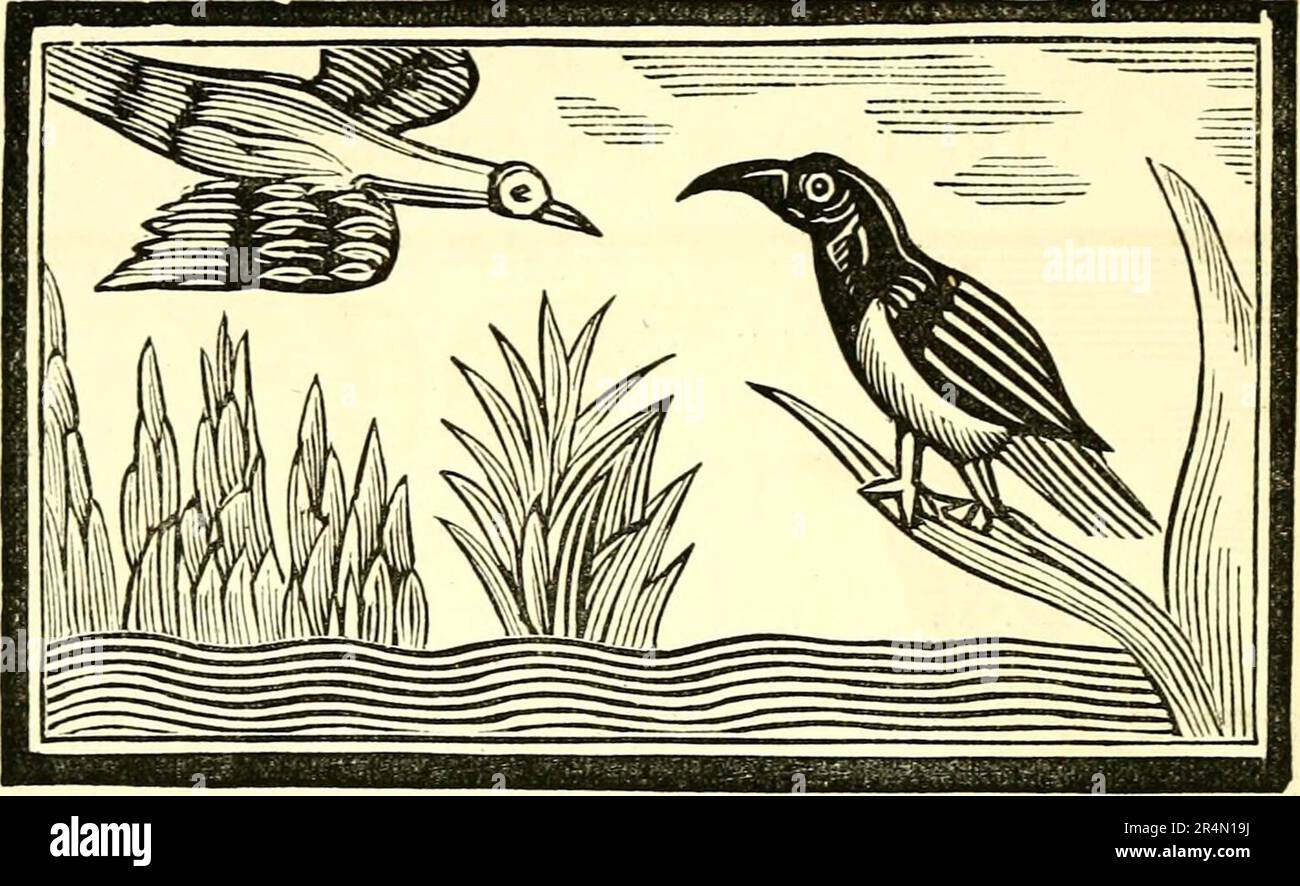 Chap image hi-res stock photography and images - Alamy