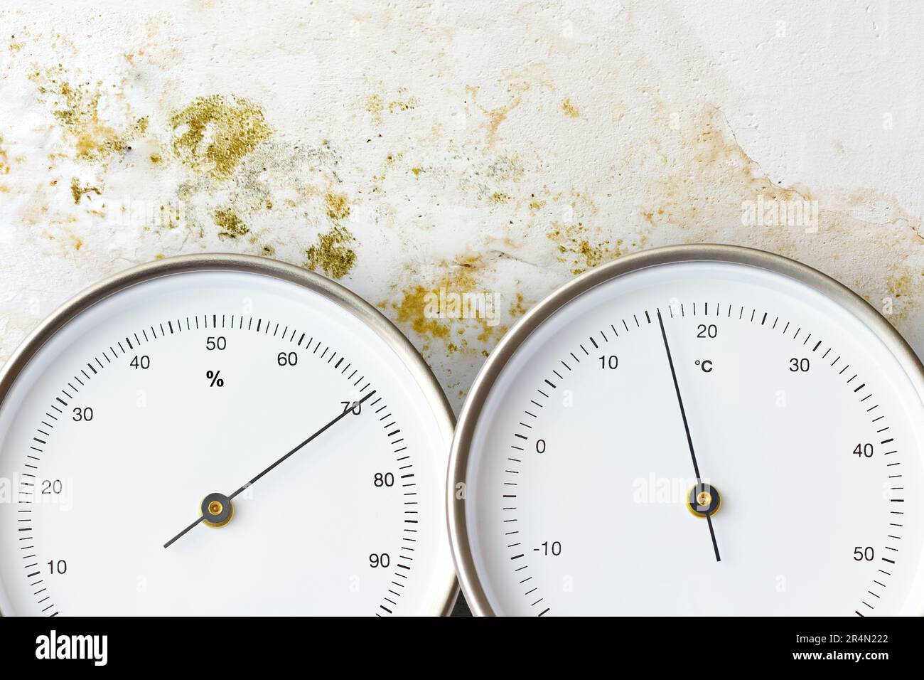 Wall overgrown with mould or mildew with analog thermometer indicating ...