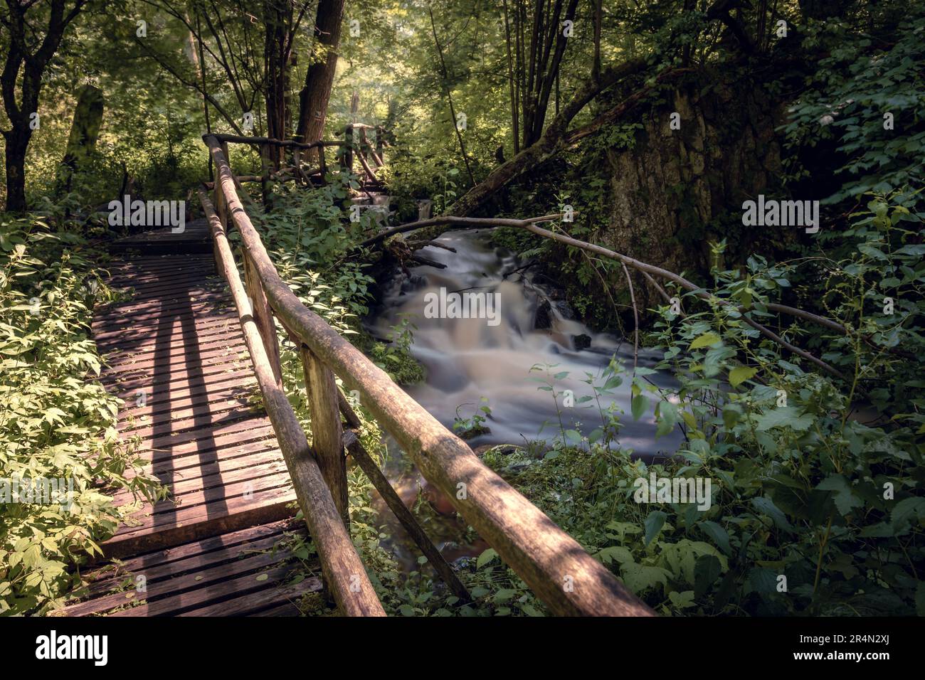 Footbridge over a brook in a dense forest. Natural water cascade ...