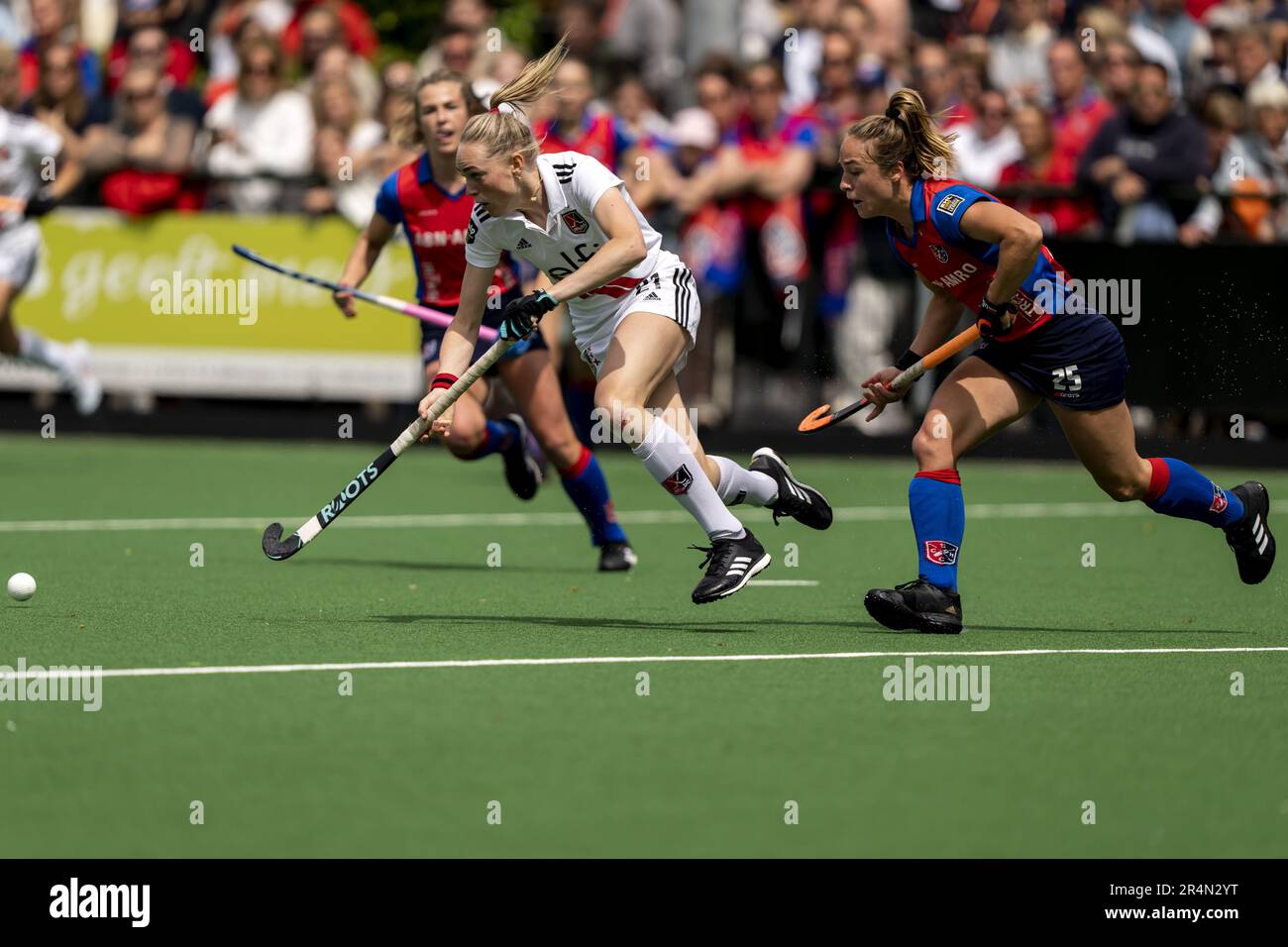 Fiona king hi-res stock photography and images - Alamy