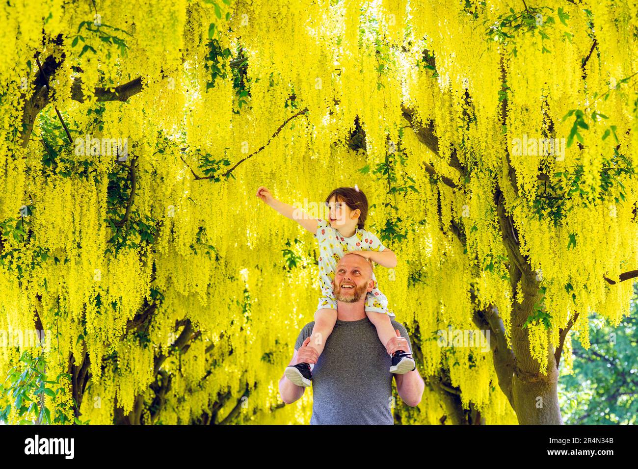 Dave daisy hi-res stock photography and images - Alamy